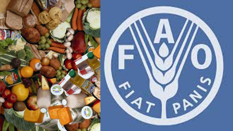 FAO launches comprehensive platform to reduce food loss and waste ...