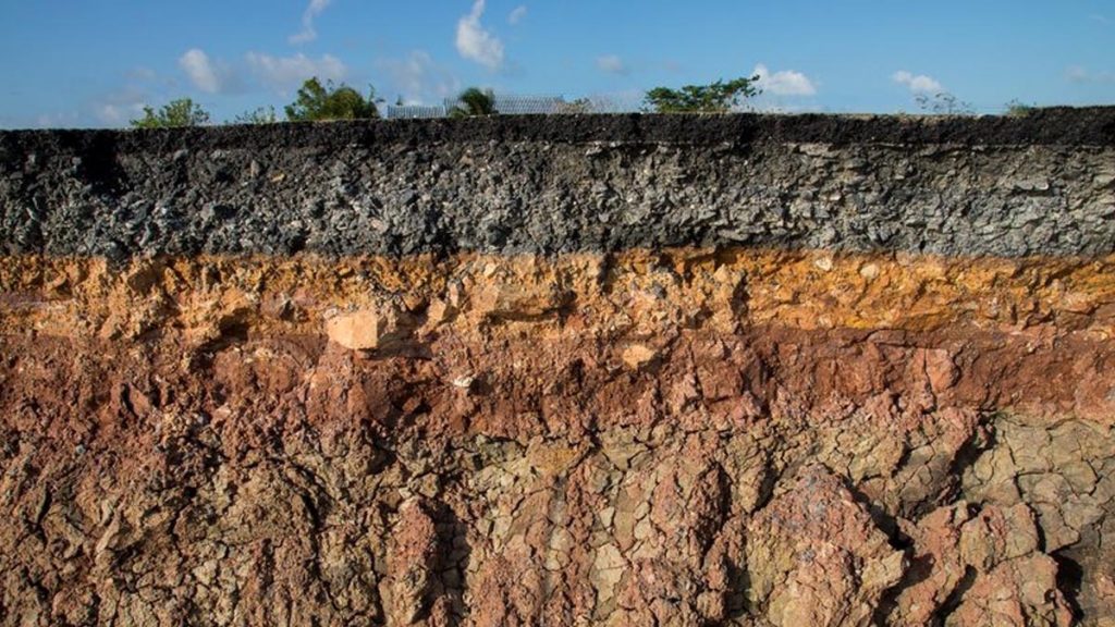 ‘Rock on Soils’ project to examine Scottish ‘carbon farming ...