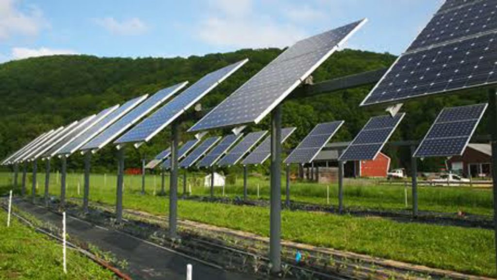 Agrivoltaics: A smart mix of agriculture and solar power generation ...