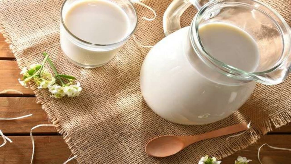 World Milk Day: Theme, History, Significance and Quotes – Agrigate Global